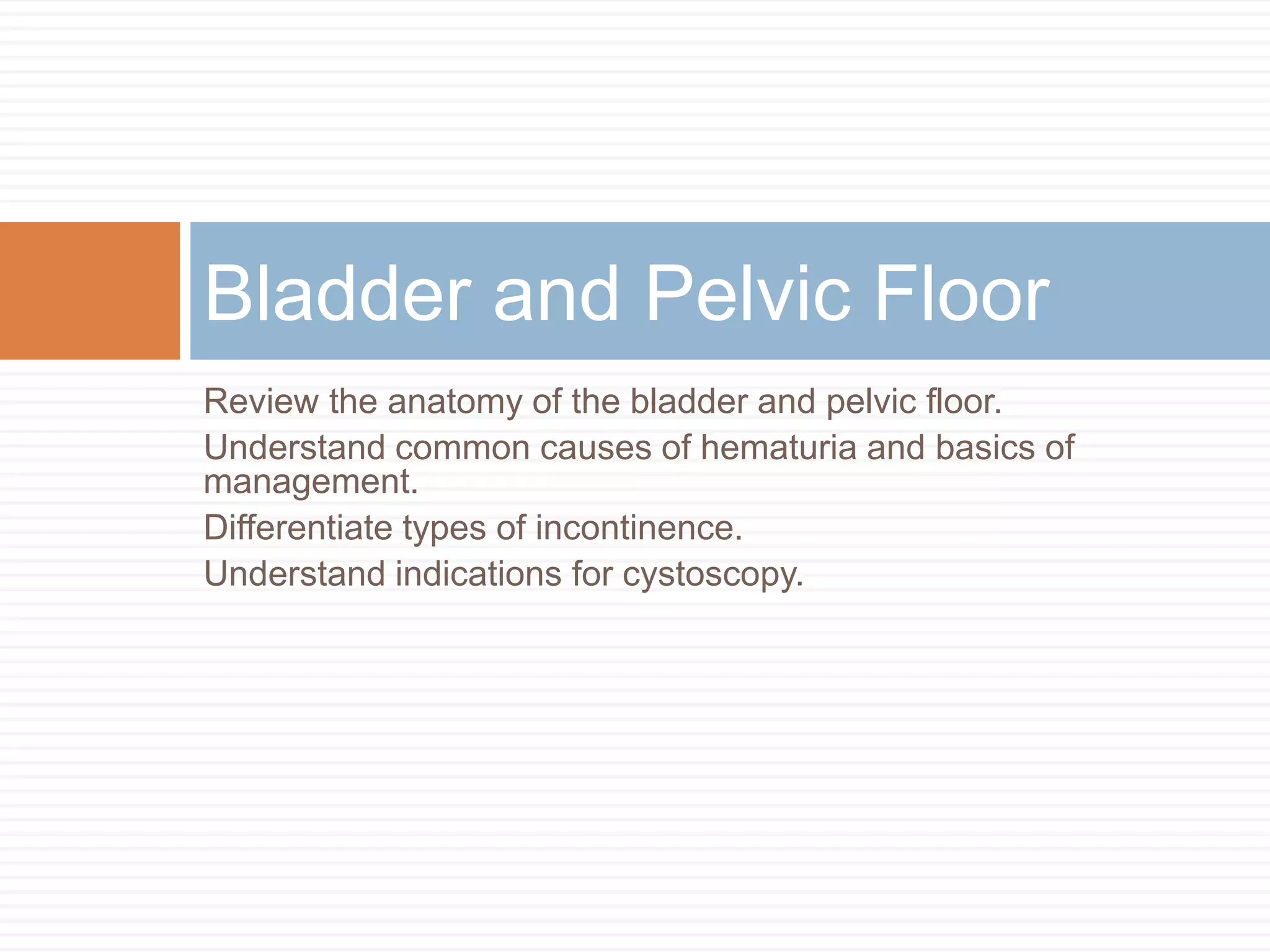 Pelvic Anatomy Slides FINAL.ppt