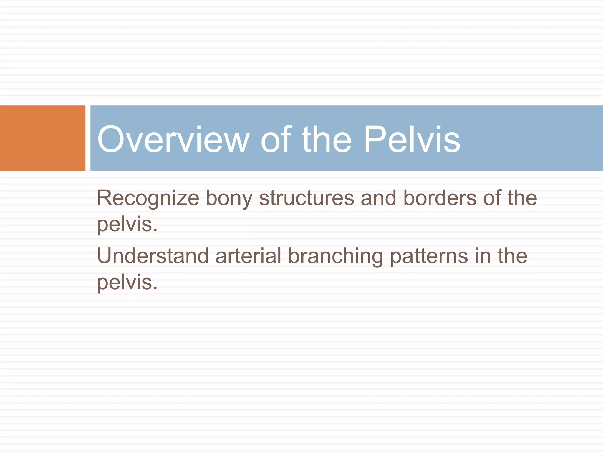 Pelvic Anatomy Slides FINAL.ppt