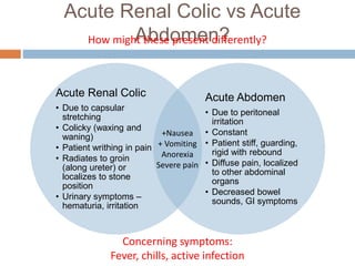Pelvic Anatomy Slides FINAL.ppt