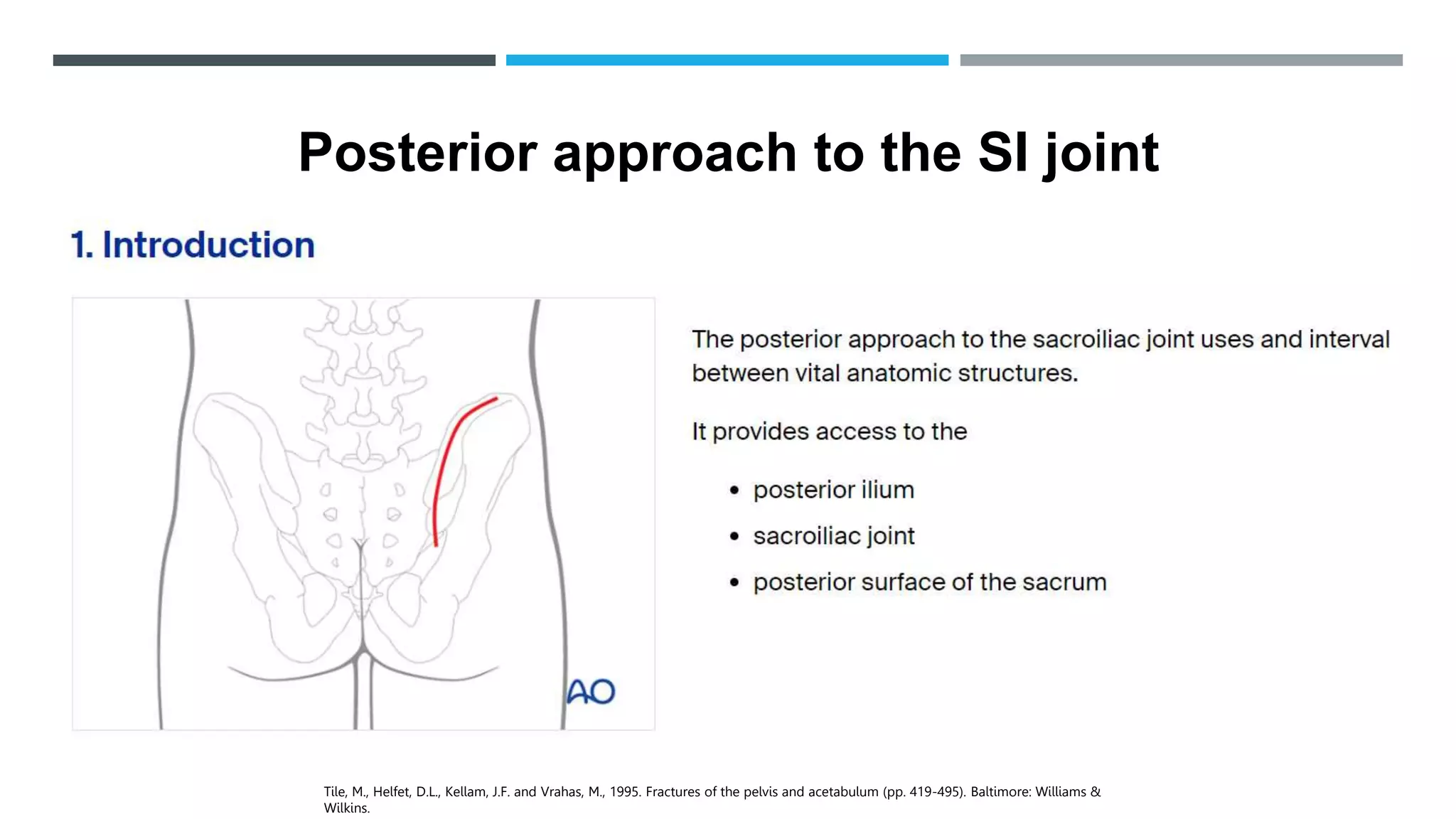 pelvic and hip approach.pptx
