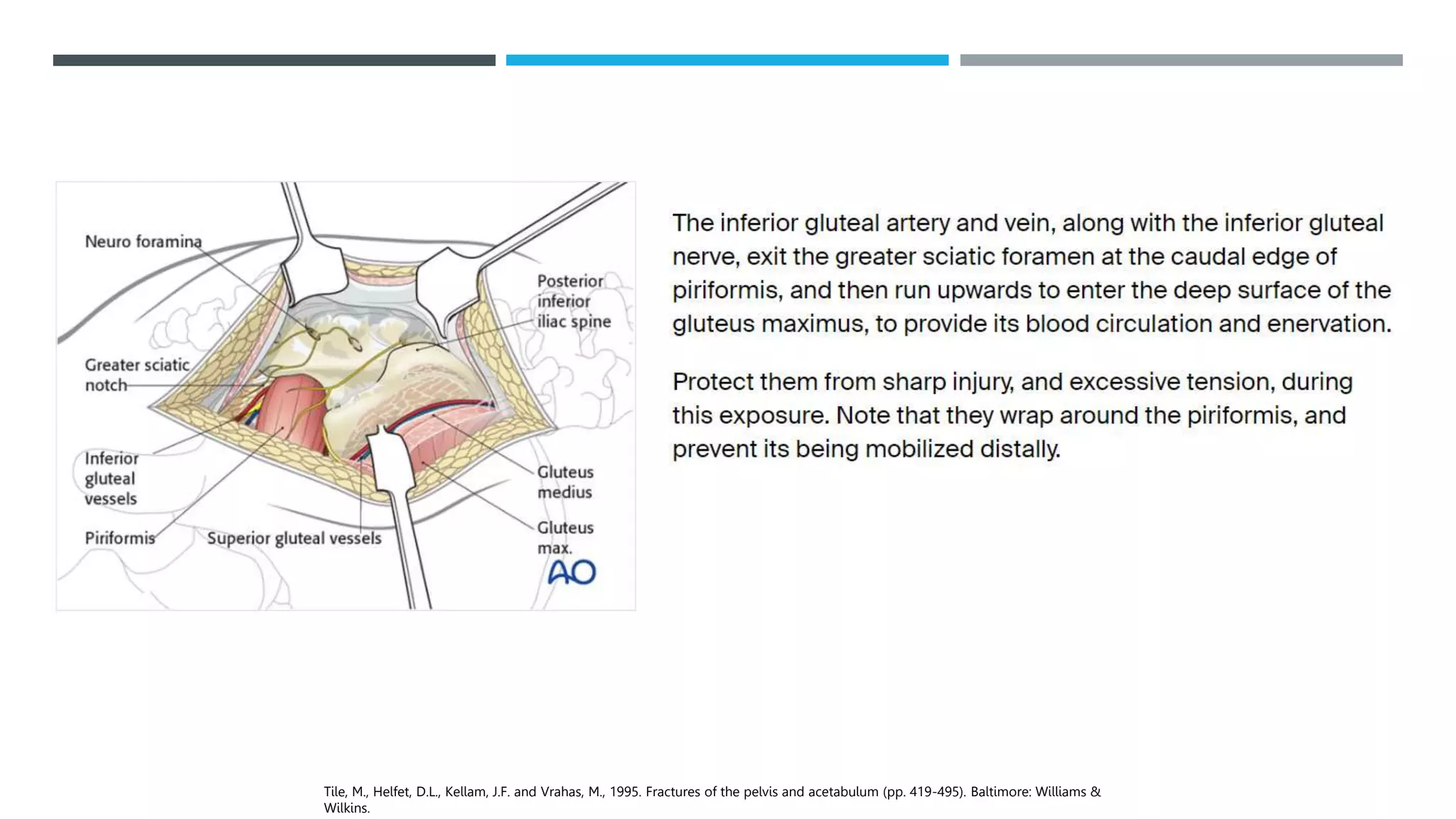 pelvic and hip approach.pptx