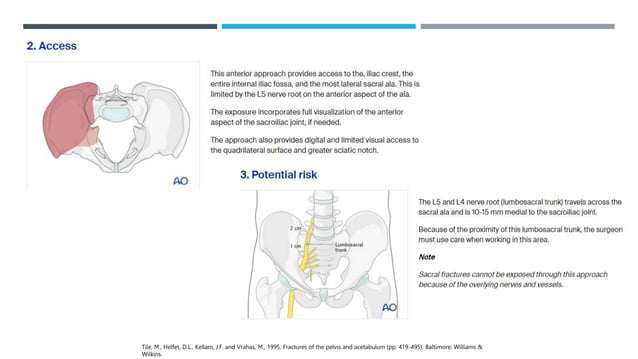 pelvic and hip approach.pptx