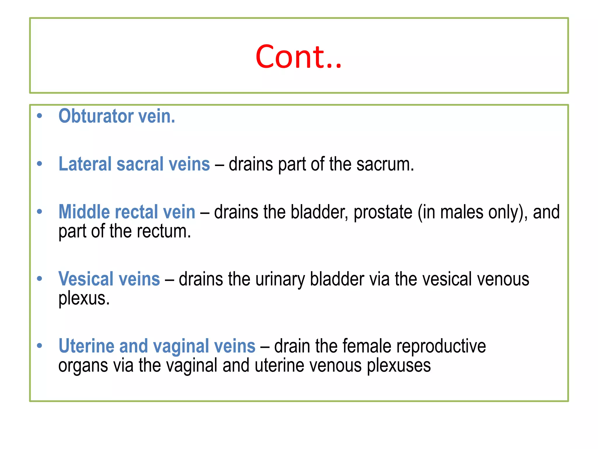 Pelvic vessels,nerves and lymph nodes. | PPTX