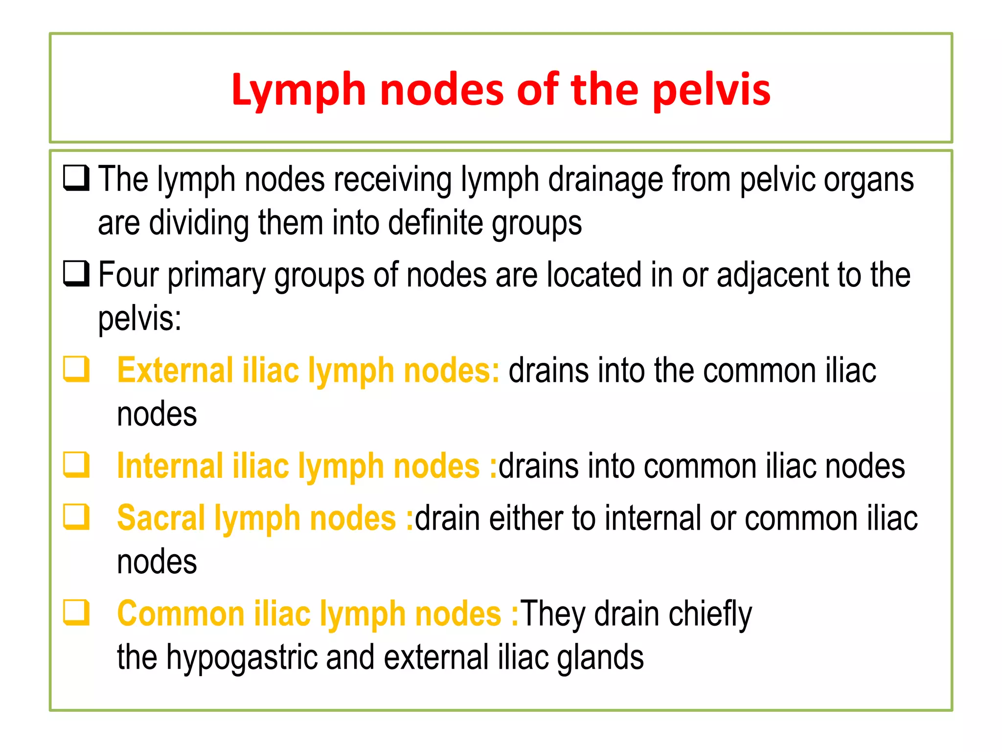 Pelvic vessels,nerves and lymph nodes. | PPTX