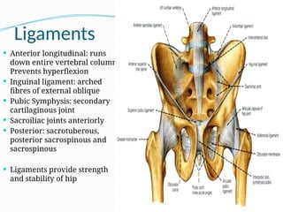 PELVIC # BKK - final.pptxPELVIC # BKKPELVIC # BKK | PPTX