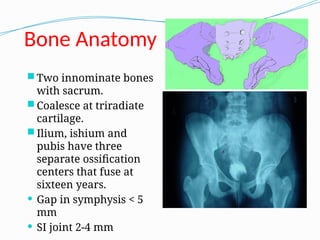 PELVIC # BKK - final.pptxPELVIC # BKKPELVIC # BKK | PPTX