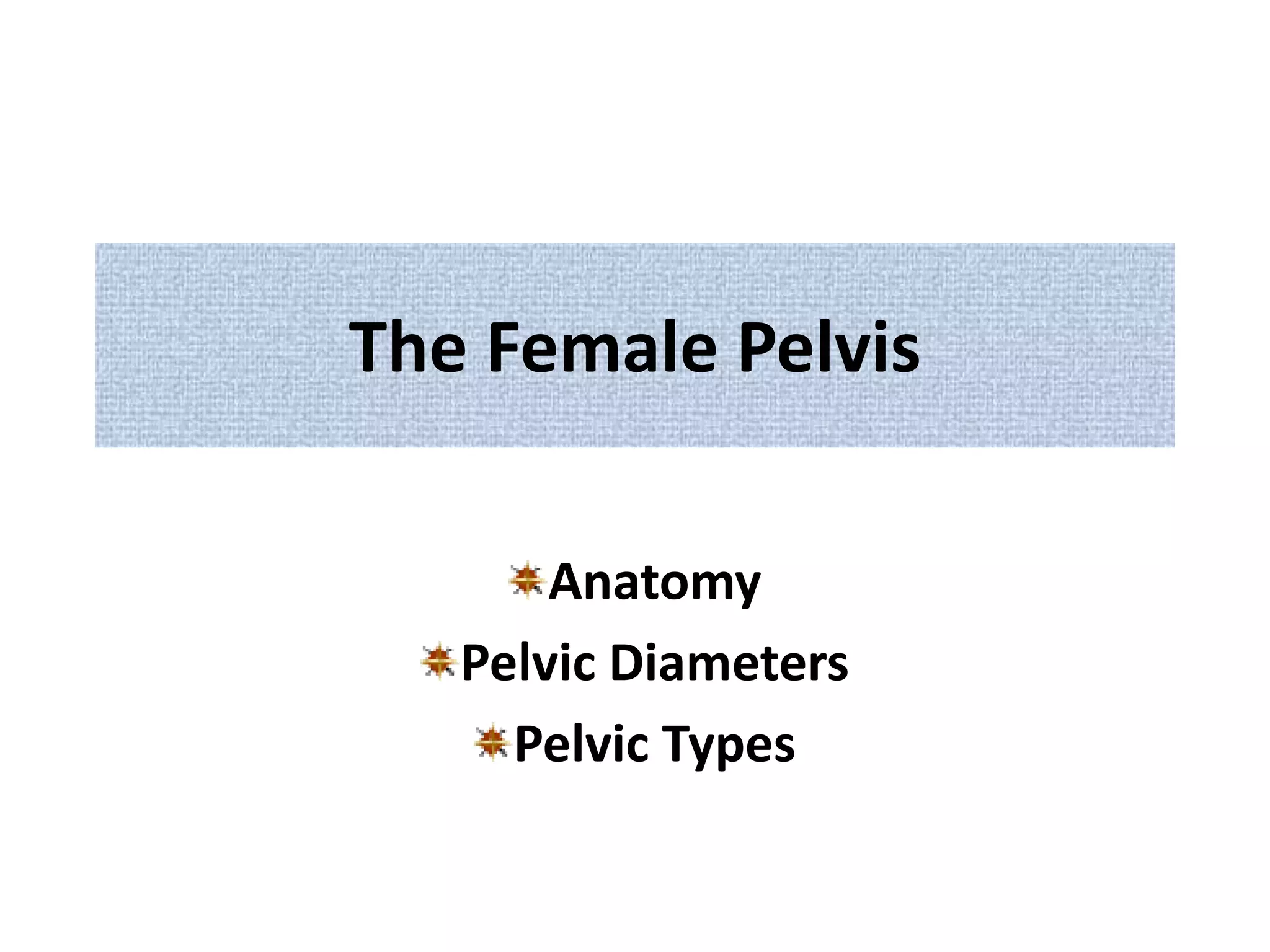Pelvic bone.pptx