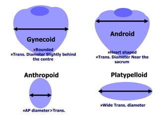 Pelvic bone.pptx | Pregnancy | Reproductive Health