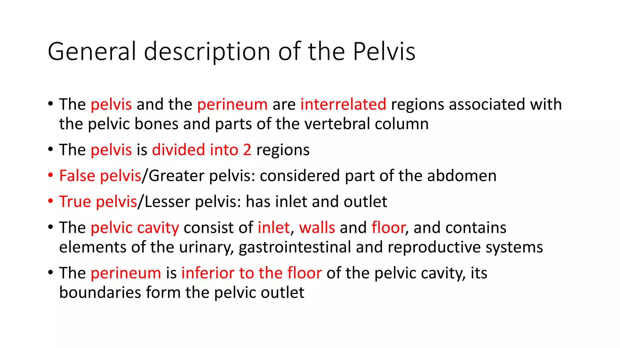 Pelvic bones | PPTX