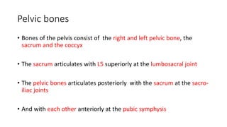 Pelvic bones | PPTX