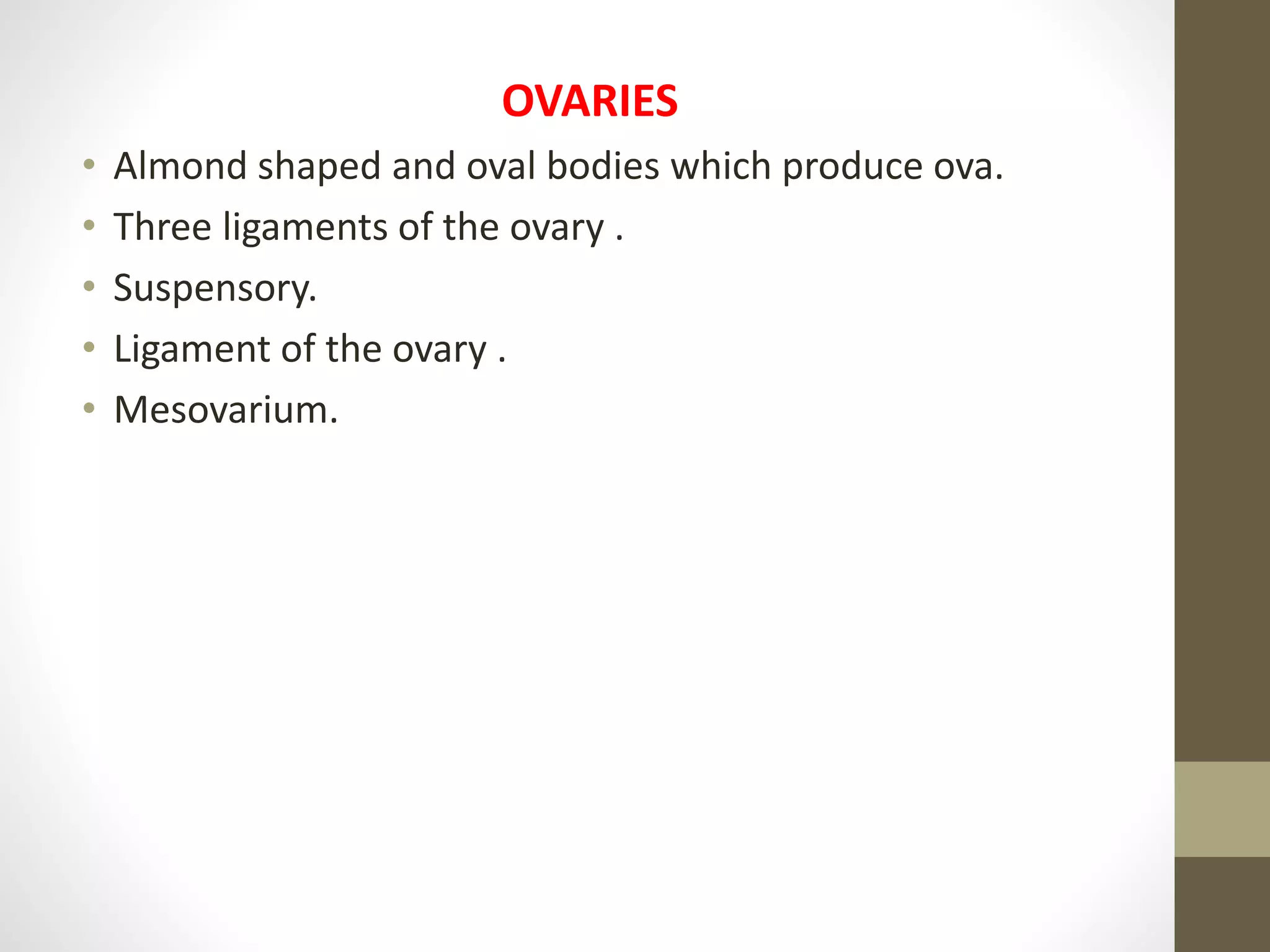 Pelvic Cavity im.pptx