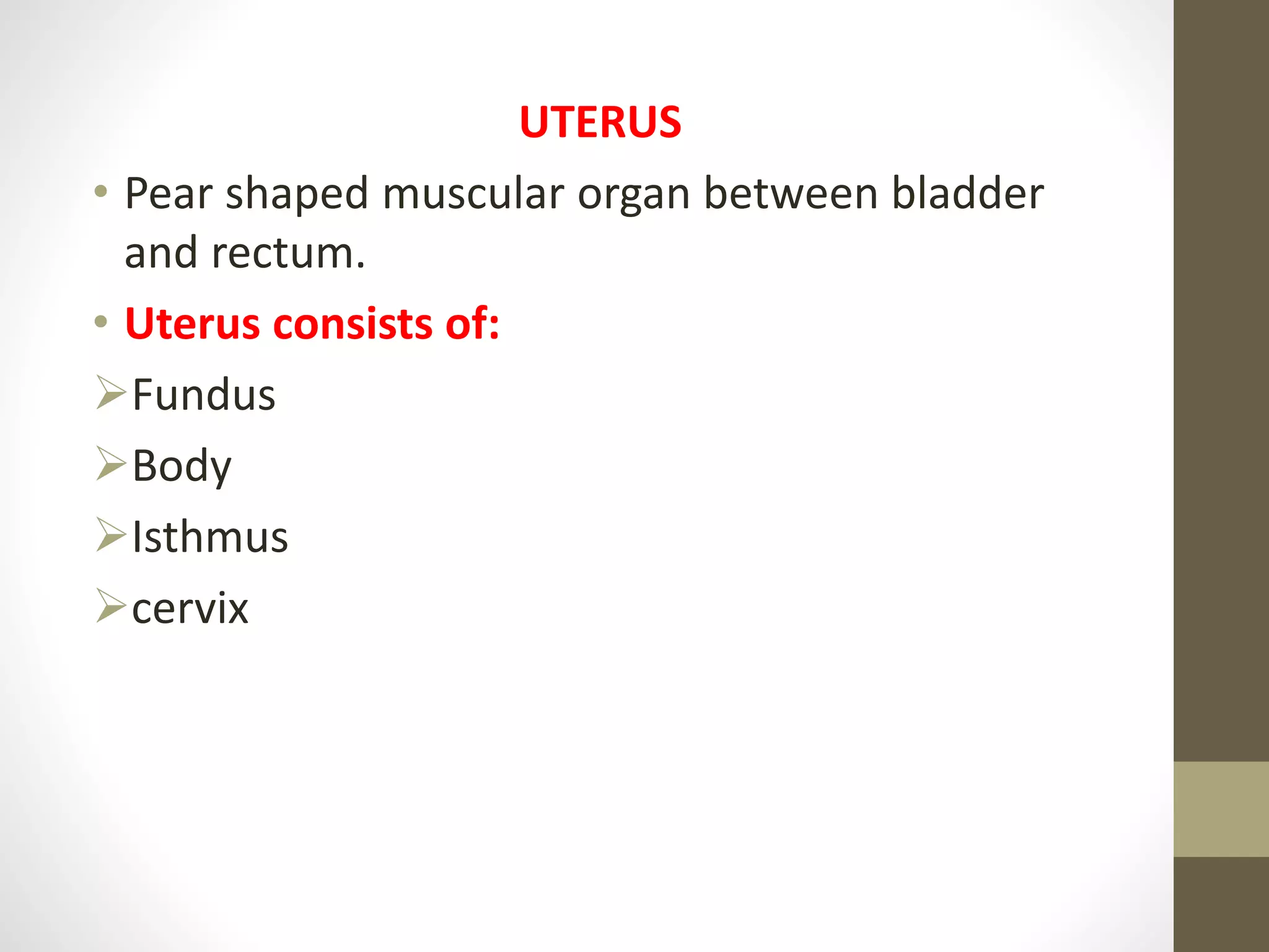 Pelvic Cavity im.pptx