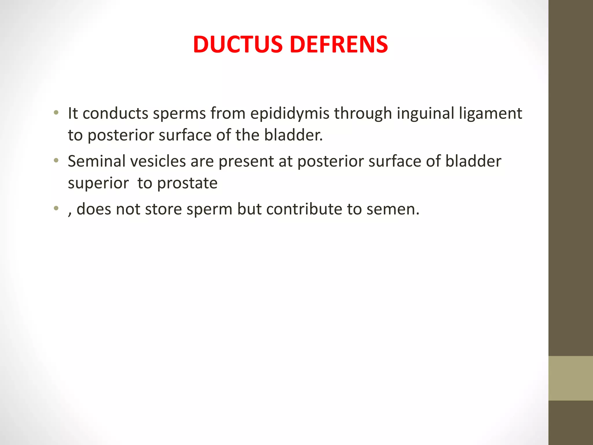 Pelvic Cavity im.pptx