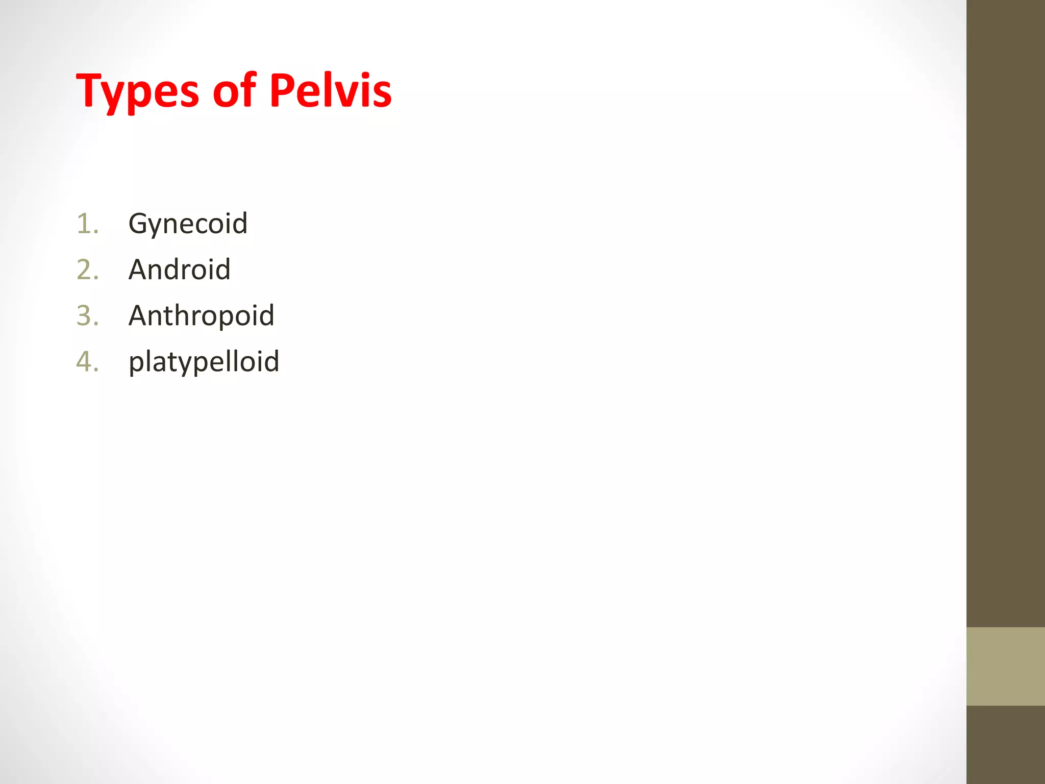 Pelvic Cavity im.pptx
