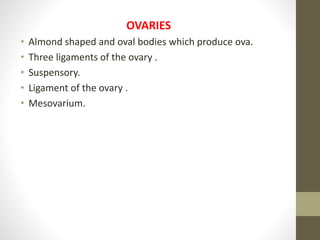 Pelvic Cavity im.pptx