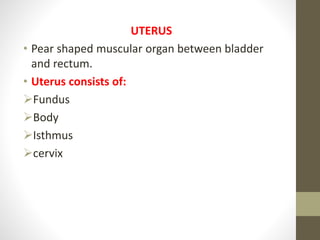 Pelvic Cavity im.pptx