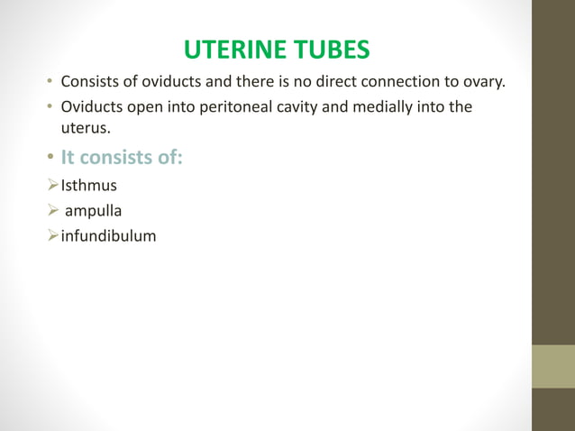Pelvic Cavity im.pptx