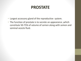 Pelvic Cavity im.pptx