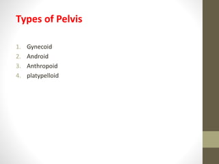 Pelvic Cavity im.pptx