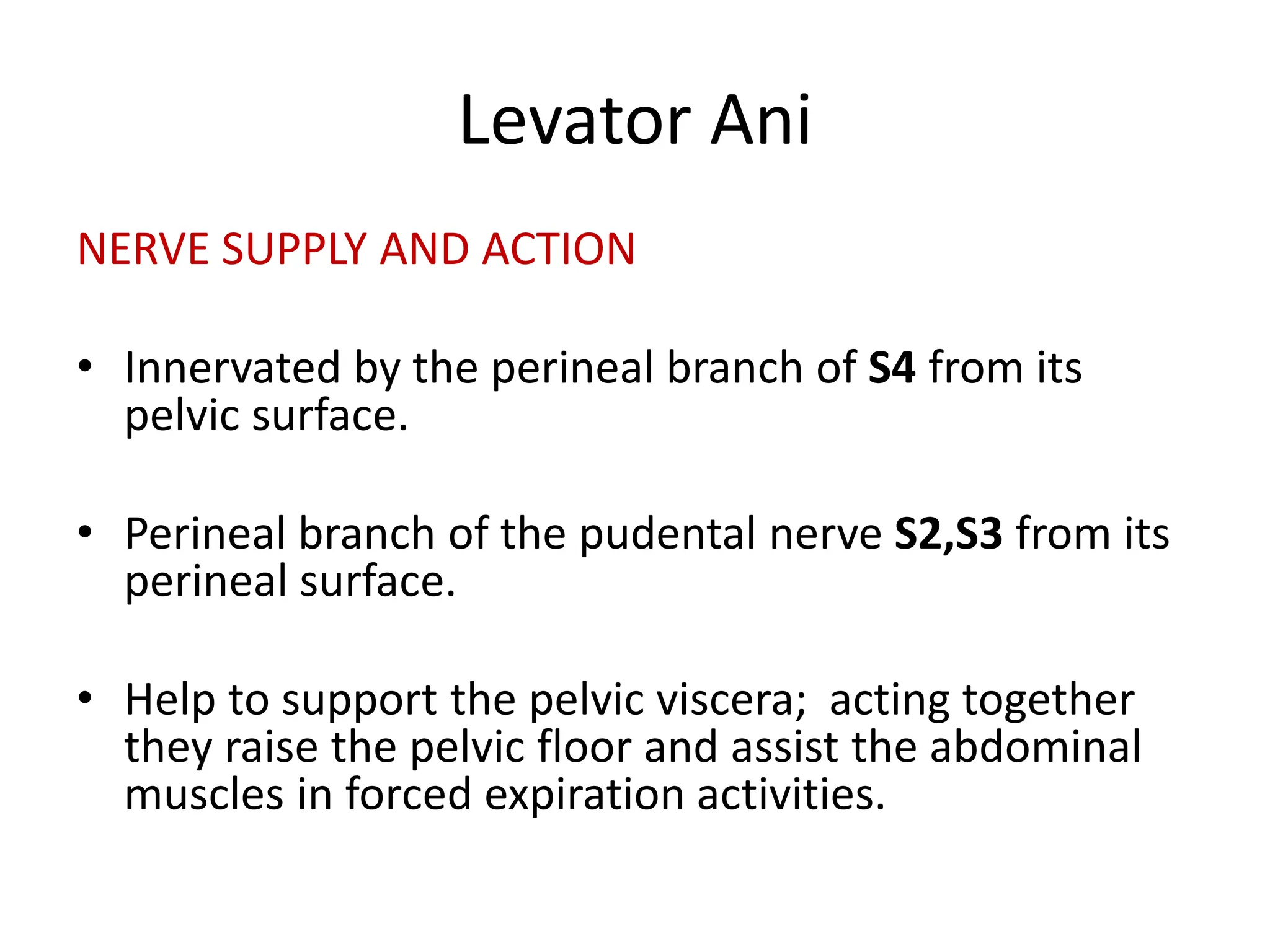 PELVIC DIAPHRAGM for education30.01.2024.ppt