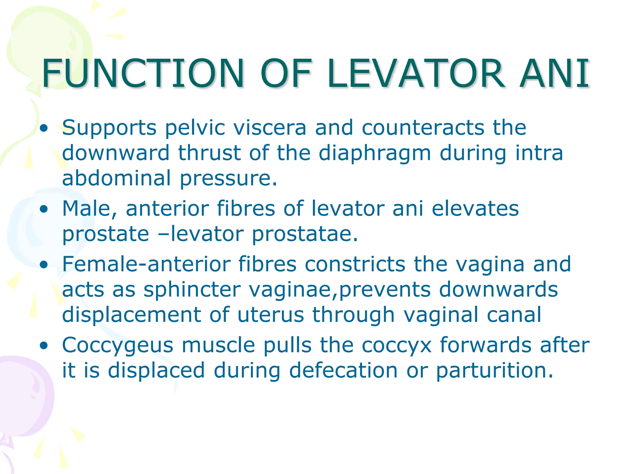 PELVIC DIAPHRAGM for education30.01.2024.ppt
