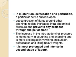 Pelvic diaphragm ppt | PPTX