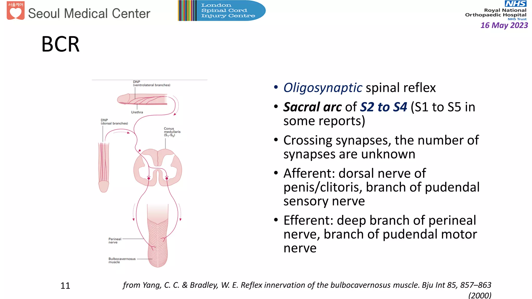 pelvic electrophysiology test | PDF