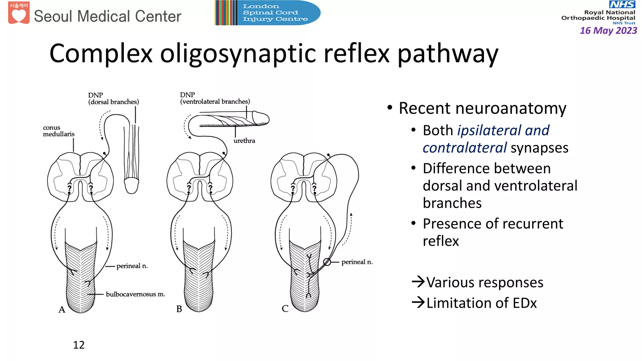 pelvic electrophysiology test | PDF