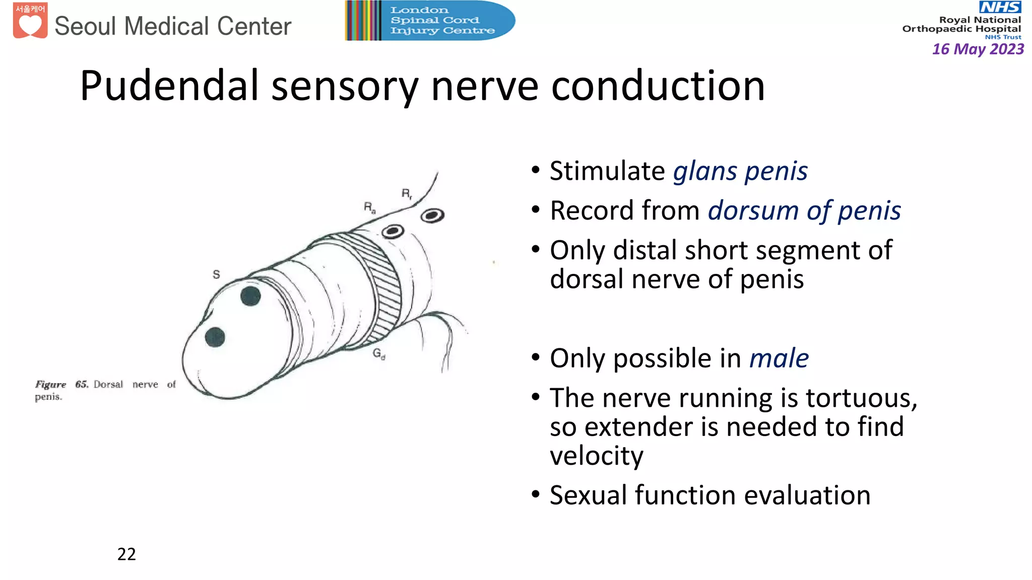 pelvic electrophysiology test | PDF