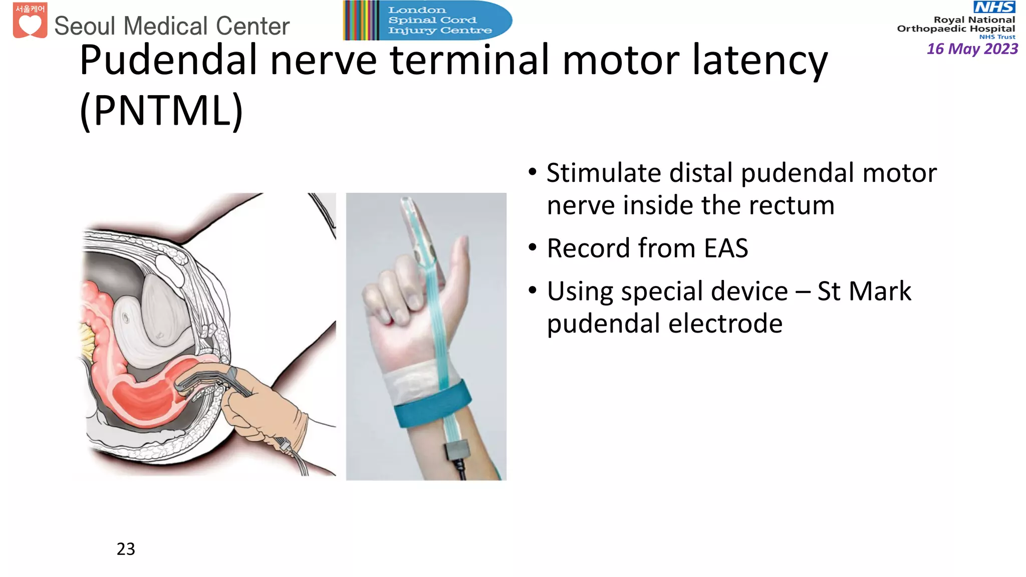 pelvic electrophysiology test | PDF