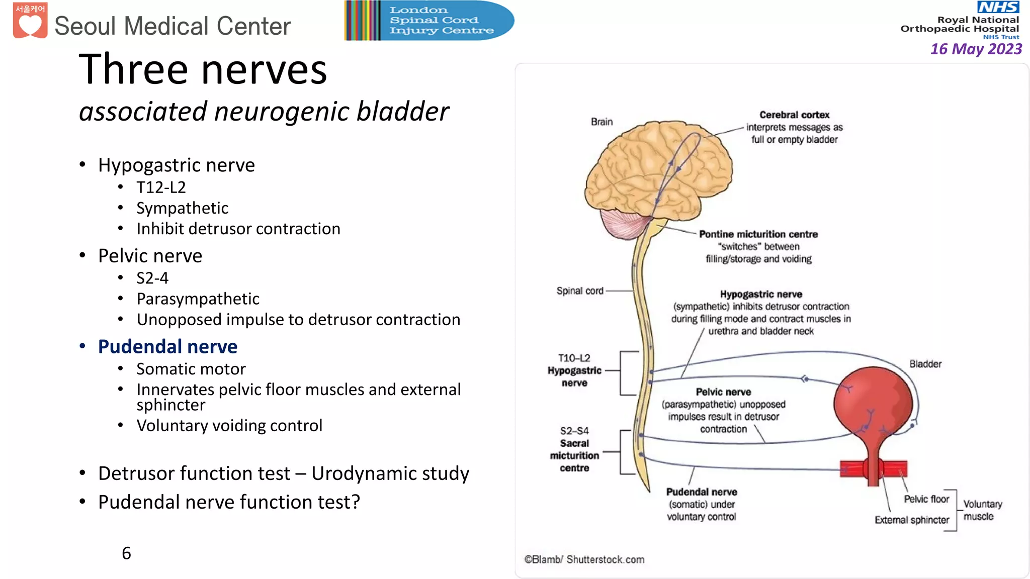 pelvic electrophysiology test | PDF