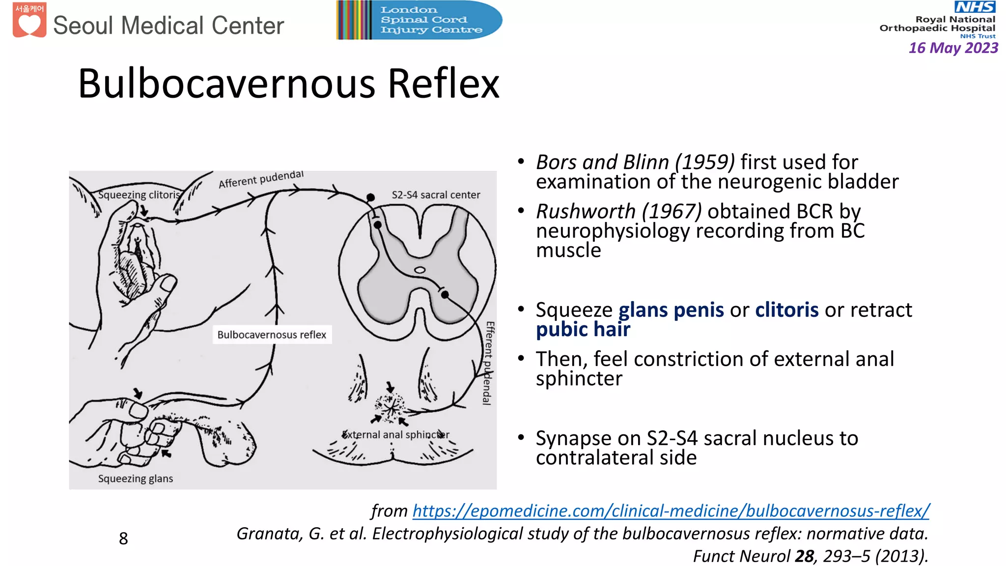 pelvic electrophysiology test | PDF