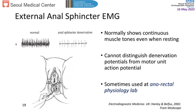 pelvic electrophysiology test | PDF