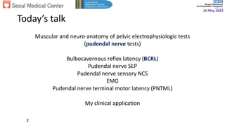 pelvic electrophysiology test | PDF