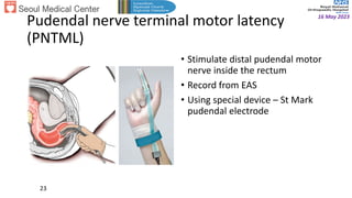 pelvic electrophysiology test | PDF