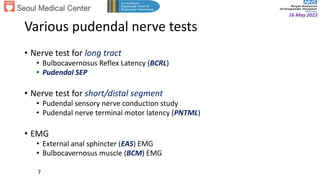 pelvic electrophysiology test | PDF