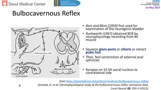 pelvic electrophysiology test | PDF