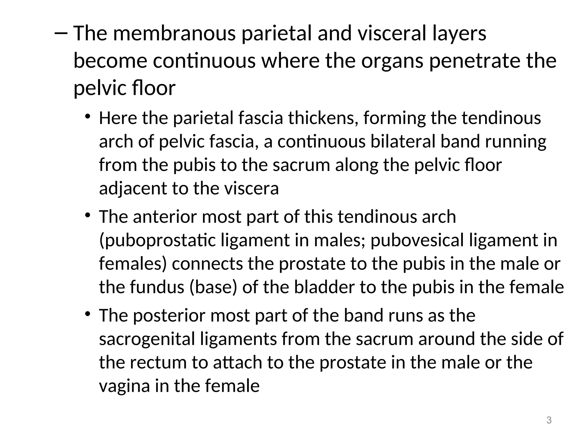 intro duction pelvic wall and Pelvic fascia.ppt