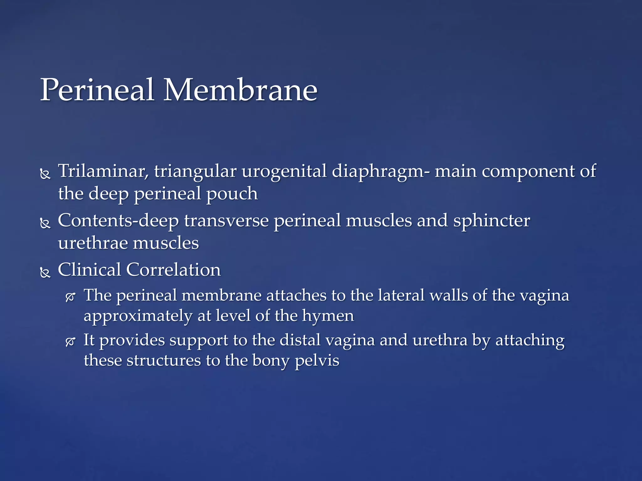 Pelvic floor | PPTX