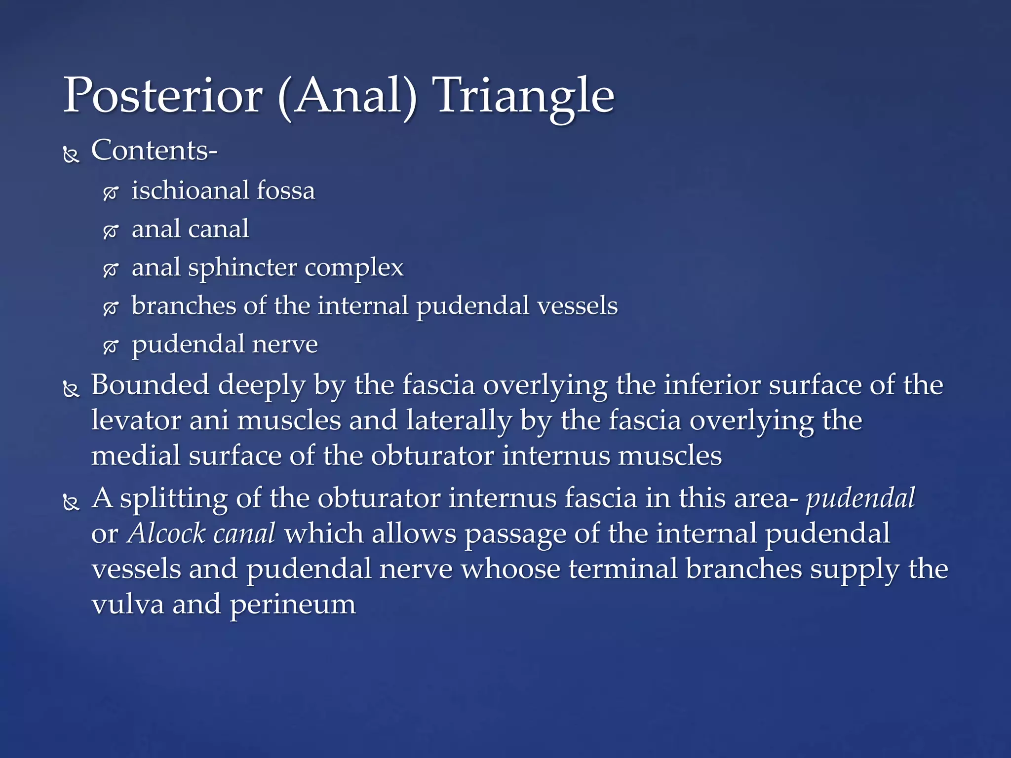 Pelvic floor | PPTX