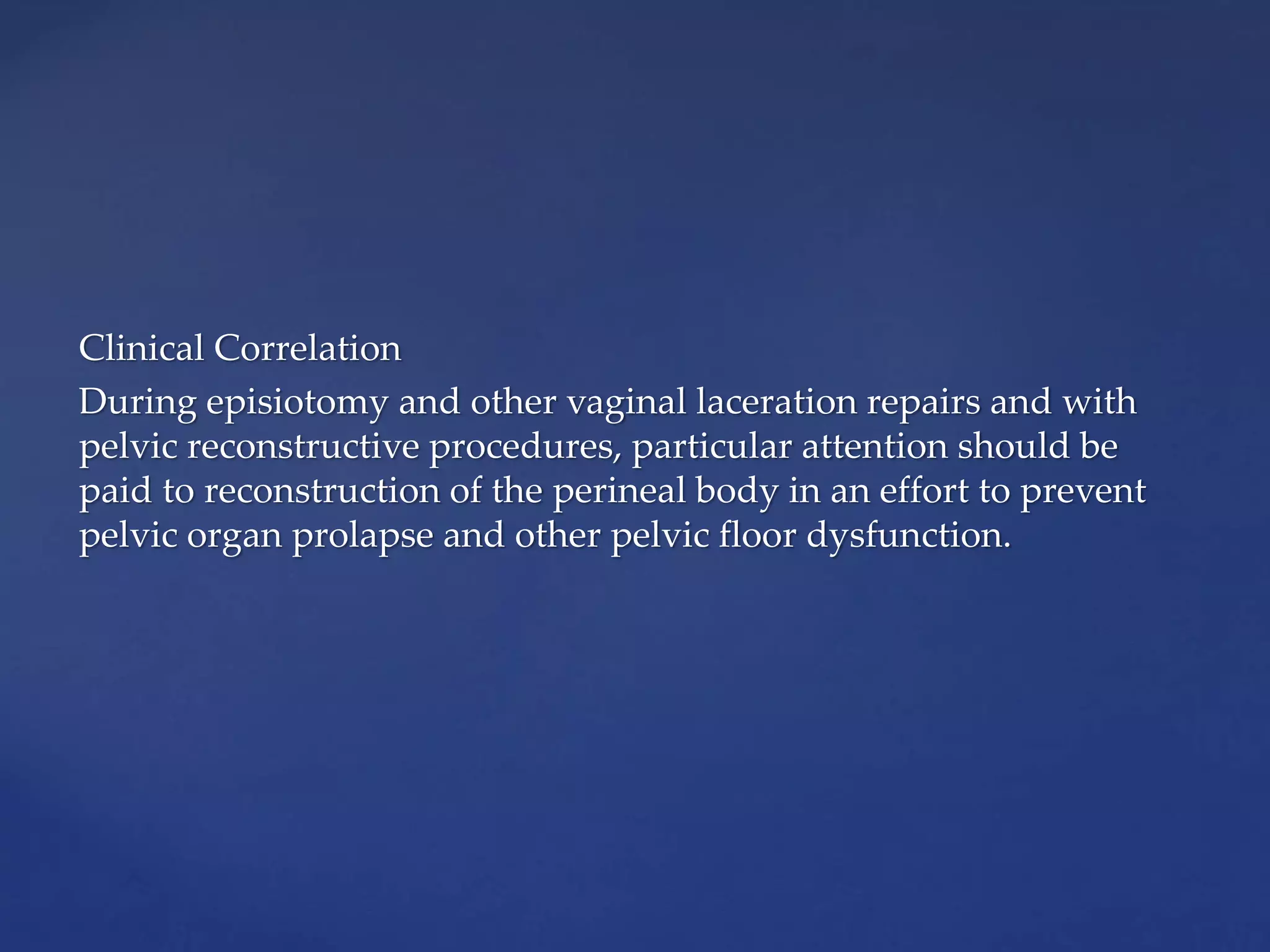Pelvic Floor Ppt