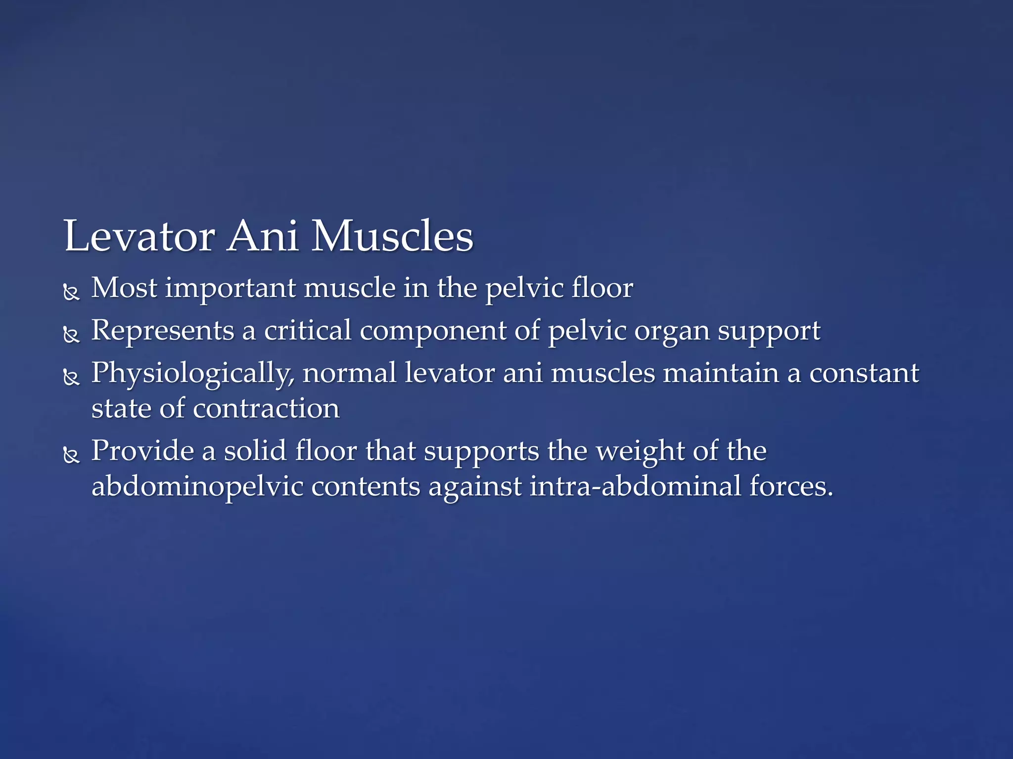 Pelvic floor | PPTX