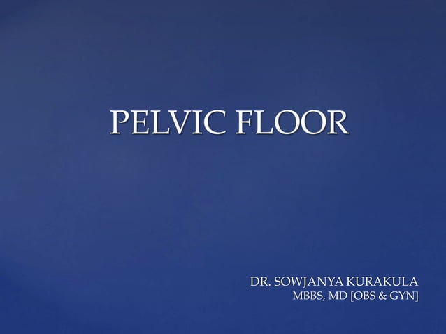 Pelvic Floor Ppt