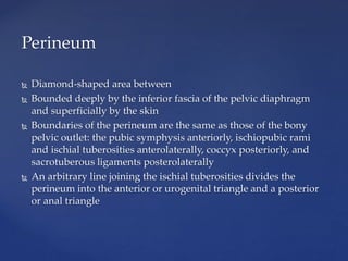 Pelvic floor | PPTX