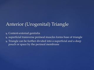 Pelvic floor | PPTX