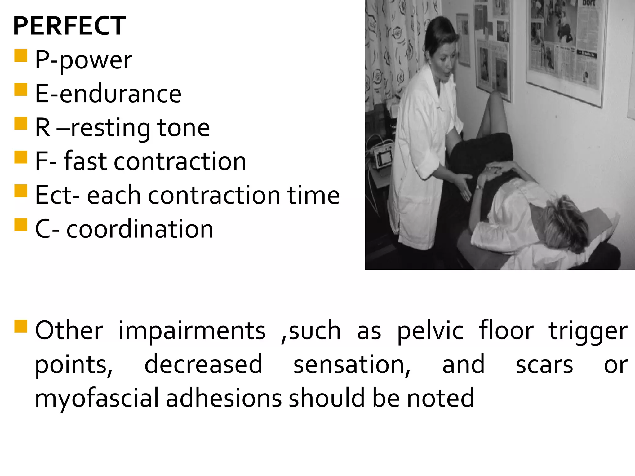 Pelvic floor | PPT