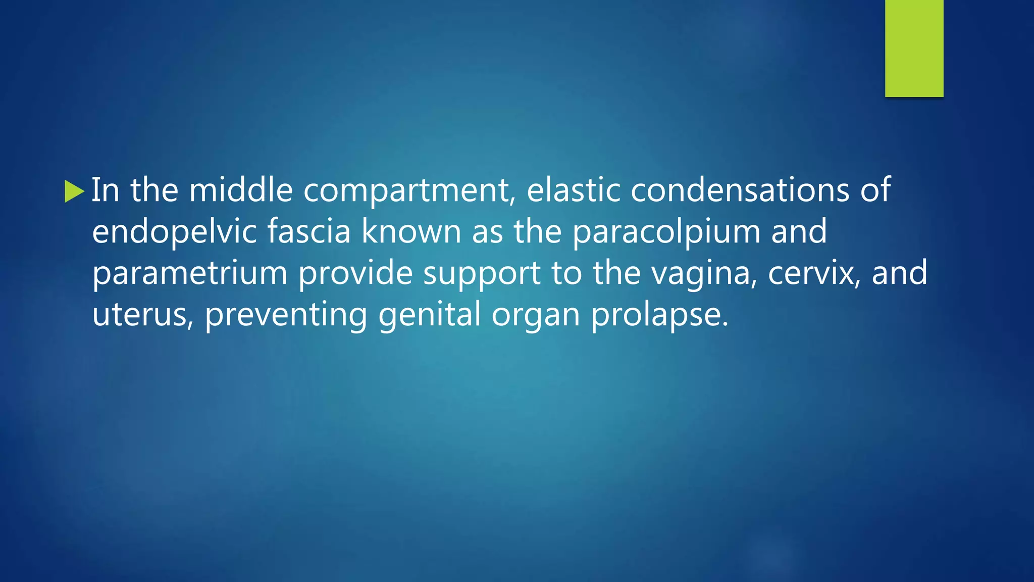 MR BASED IMAGING OF FEMALE PELVIC FLOOR | PPTX