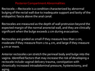 Pelvic floor | PPTX