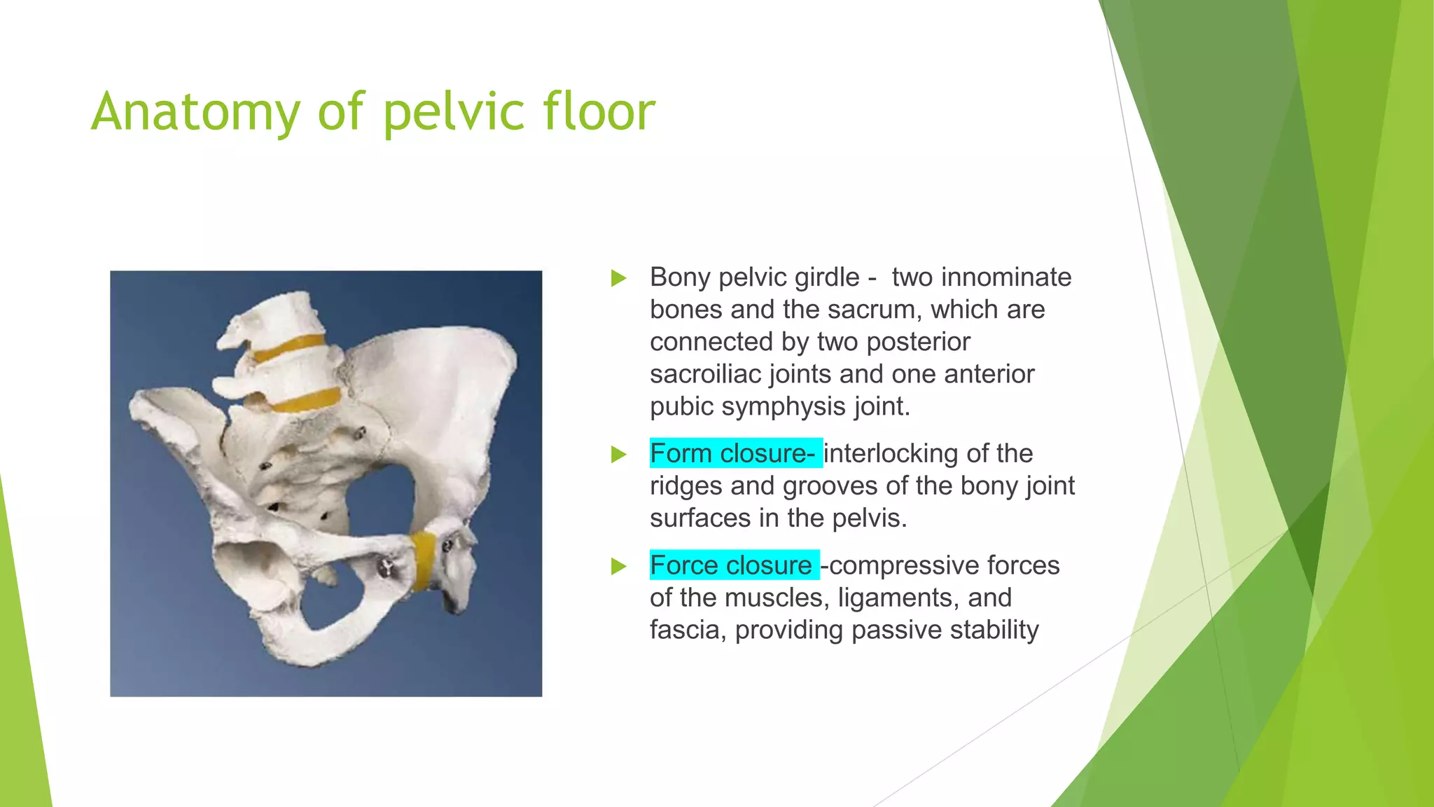 PELVIC FLOOR REHABILITATION | PPTX