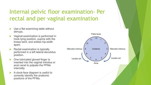 PELVIC FLOOR REHABILITATION | PPTX